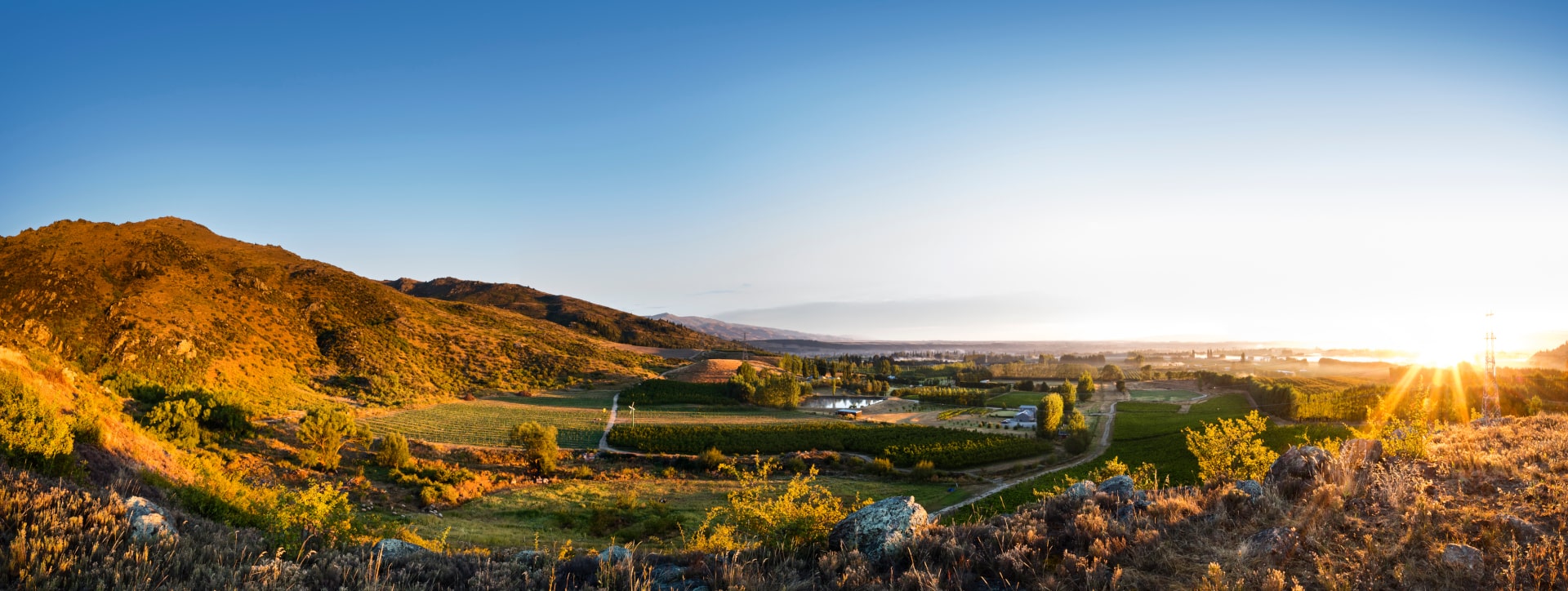 Red Bank Farm and Vineyard - Two Paddocks